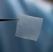 Best Allograft (Human tissue graft) - OWC Center